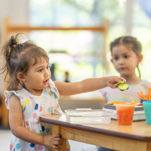Food Program - Georgia Child Care Resources